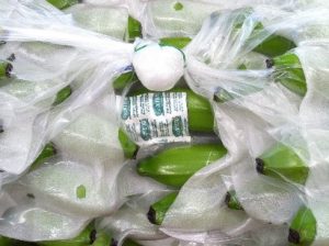 Ethylene Gas Removal Sachets - BioXTEND